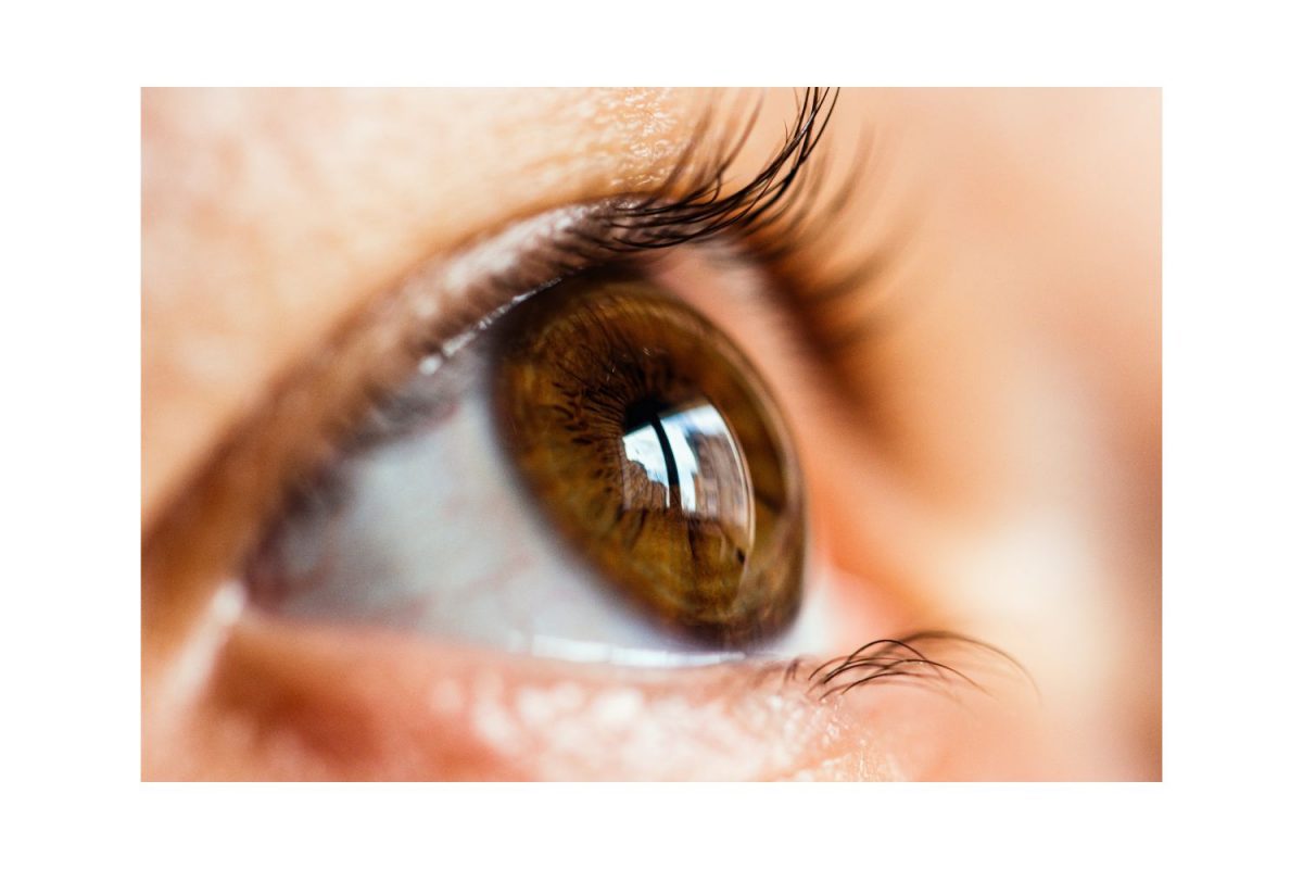 Are Eyes Organs? A Comprehensive Guide to Eye Anatomy | EZOnTheEyes