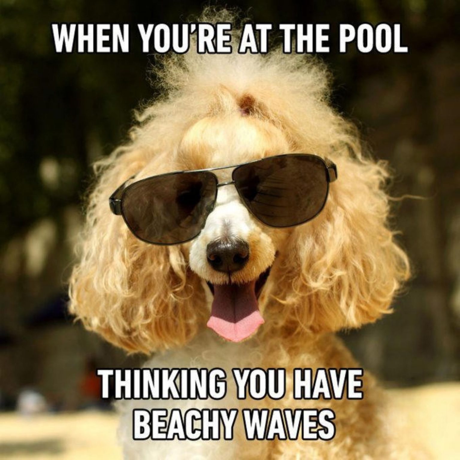 The Funniest Sunglasses Memes on the Internet | EZOnTheEyes