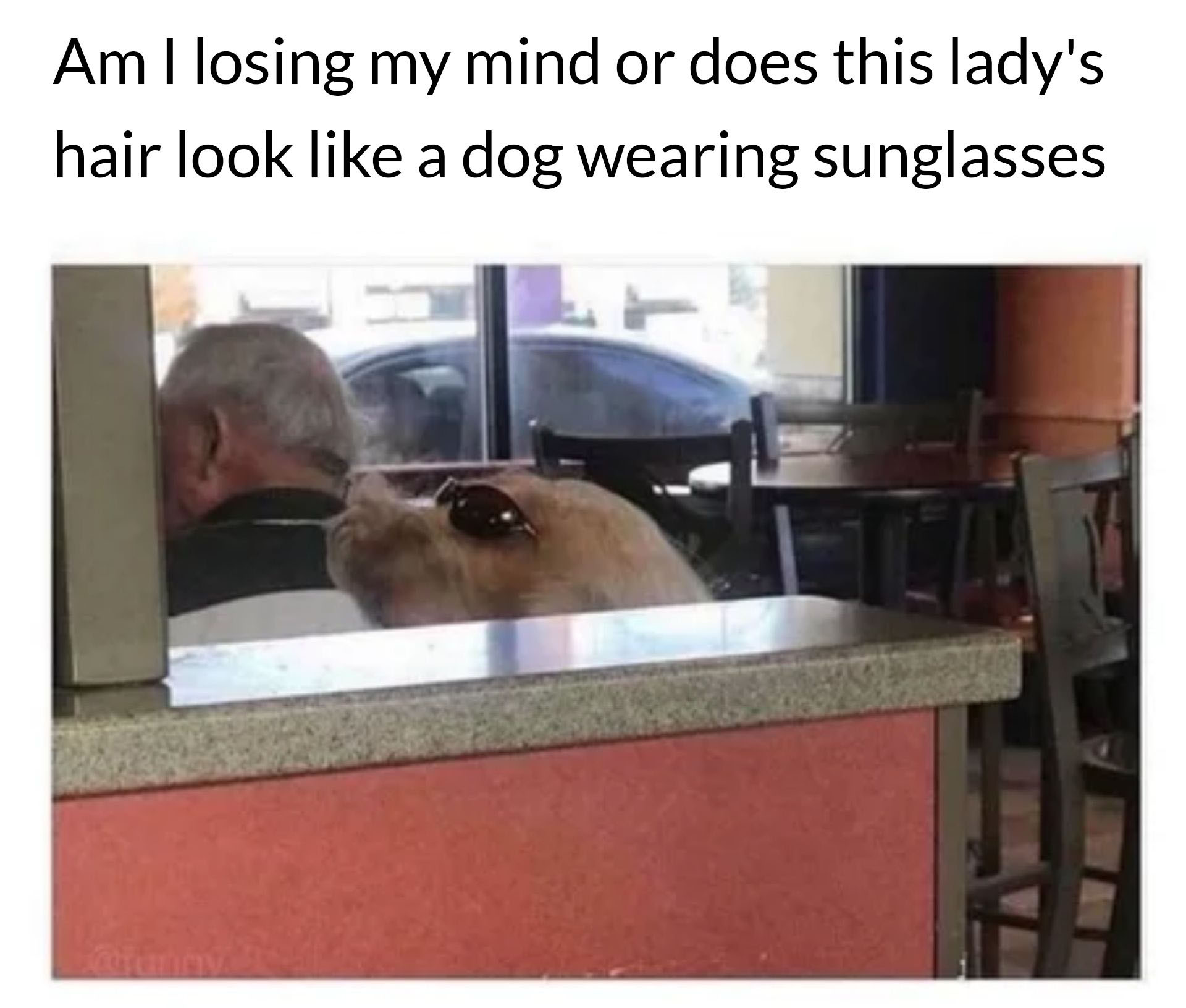 The Top 16 Funniest Sunglasses Memes on the Internet | EZOnTheEyes
