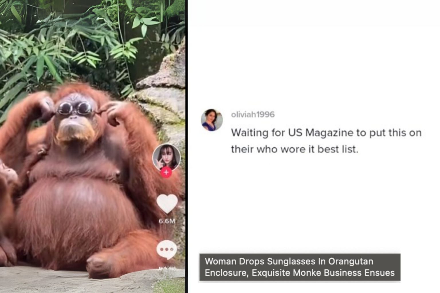 The Funniest Sunglasses Memes on the Internet | EZOnTheEyes