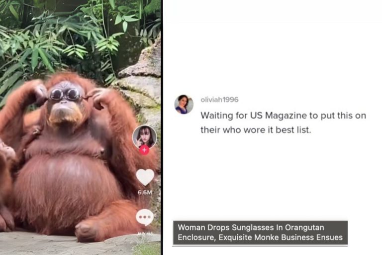 The Top 16 Funniest Sunglasses Memes on the Internet | EZOnTheEyes