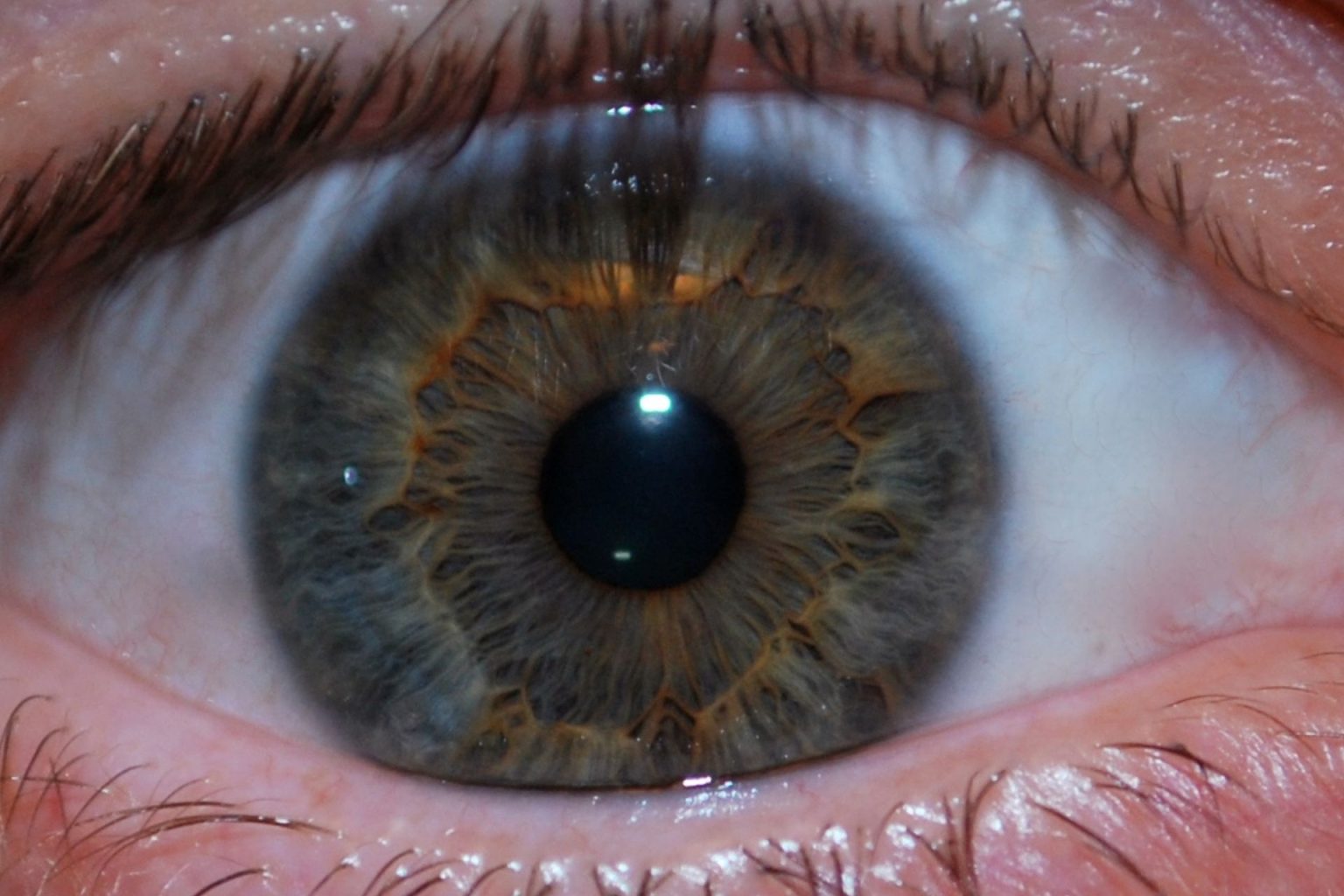 What Are Hazel Eyes? Learn All About This Rare Eye Color | EZOnTheEyes