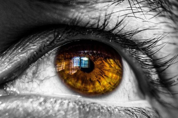 How Are Contact Lenses Made? A Peek Into the Lab | EZOnTheEyes